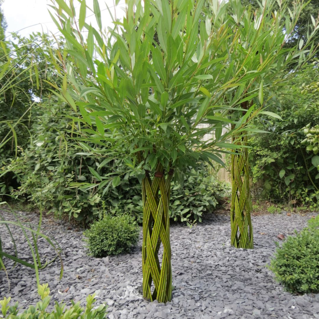 Residential - Enscape Residential Landscape Design & Build | Outdoor space.